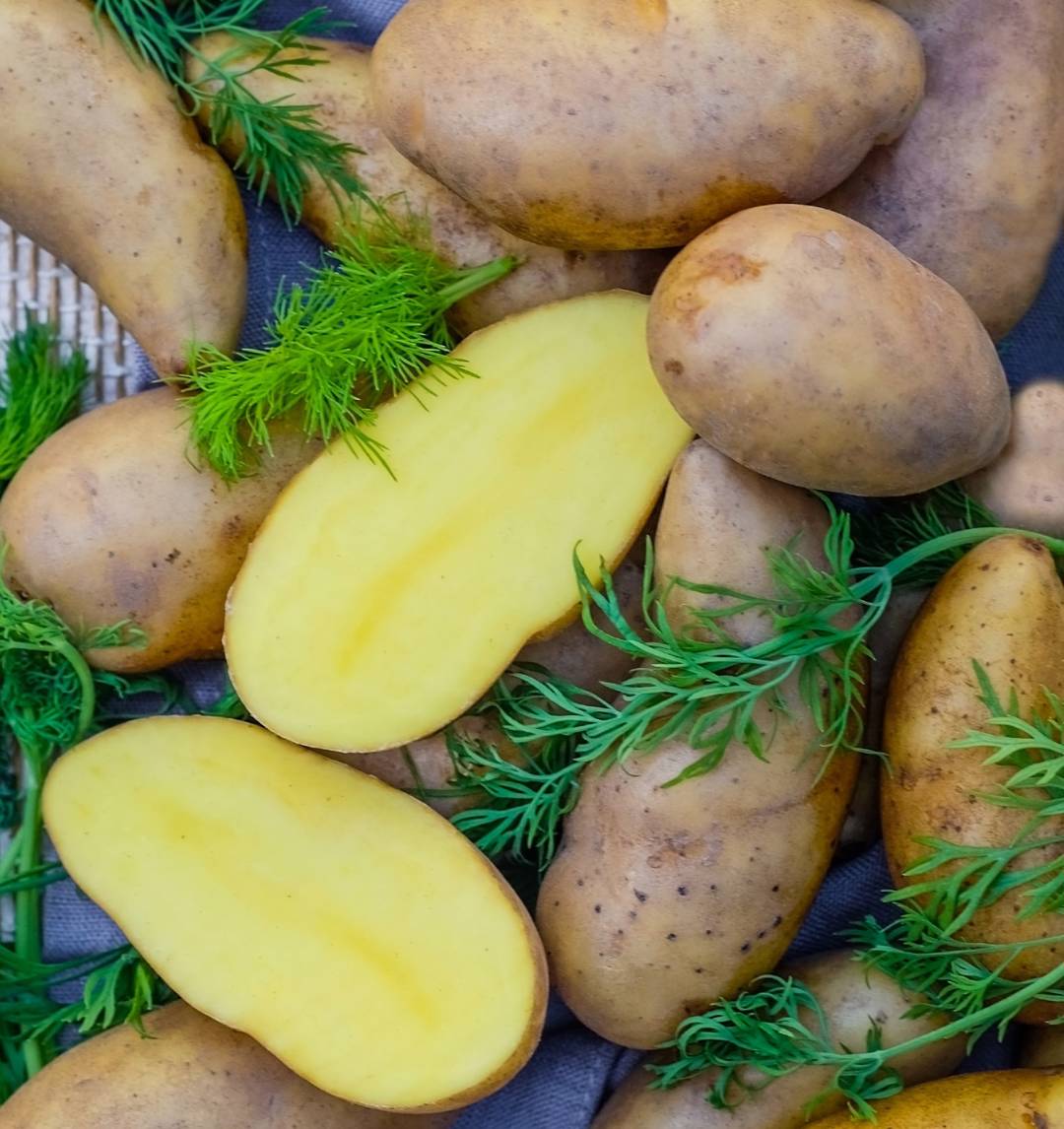 Oh!Garden - Mandelpotatis