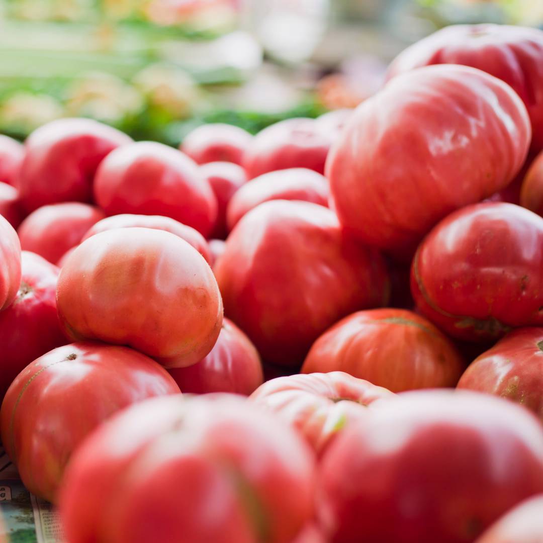 Oh!Garden - Tomat Raspberry Giant