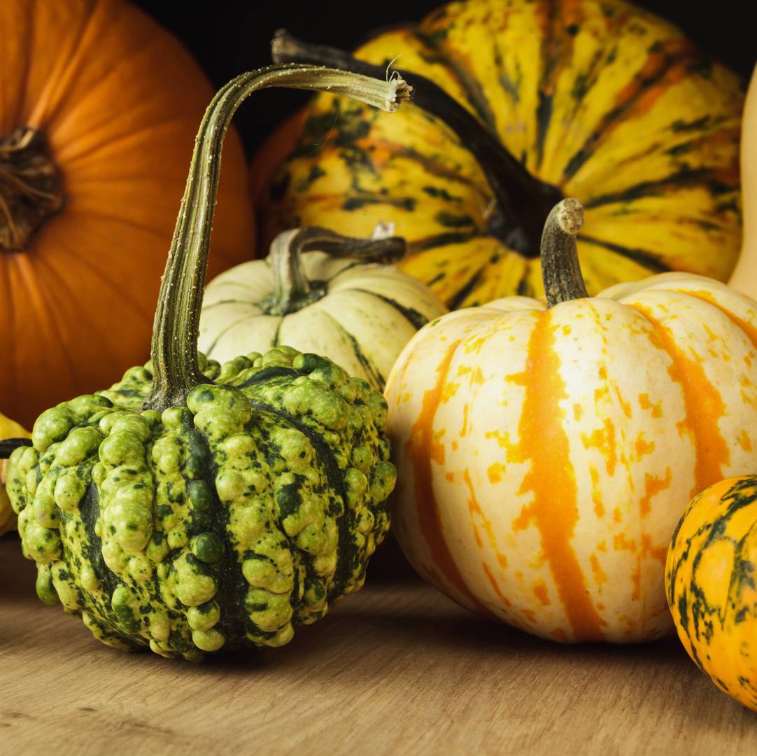 Oh!Garden - Prydnadspumpa